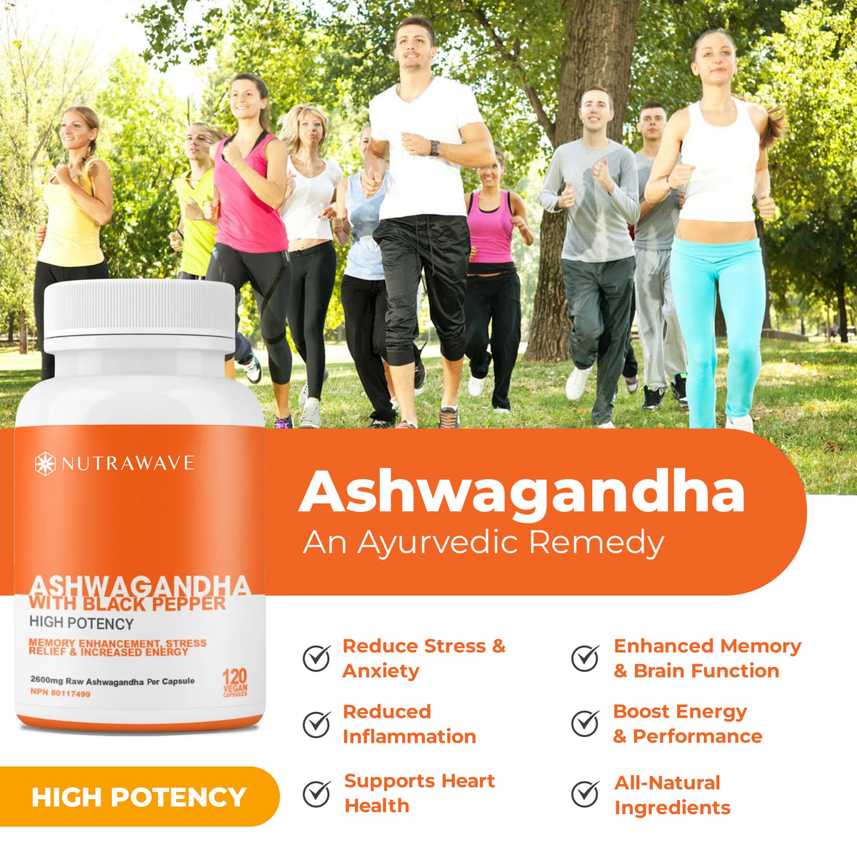 Ashwagandha Powder with Black Pepper Extract Capsules - 2600mg – nutra-wave